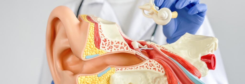 Tout savoir sur les acouphènes | L’Hôpital d’Ottawa